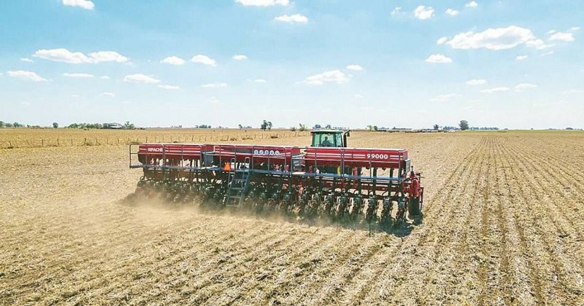 Las lluvias permitieron terminar con la siembra de soja y maíz | El ...