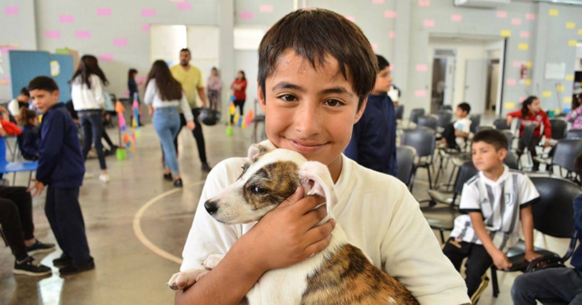 Padres y alumnos desfilaron con sus mascotas por el Día del Animal | El ...